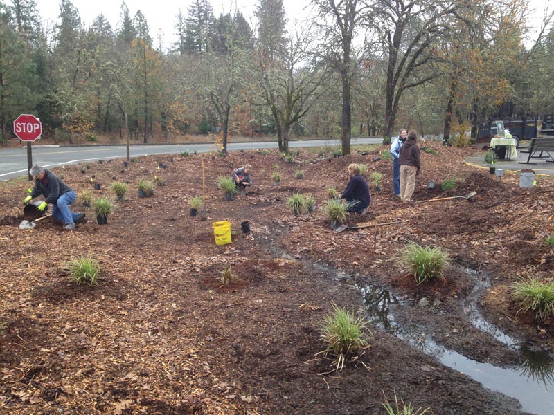 RCC Rain Garden and Bioswale Project