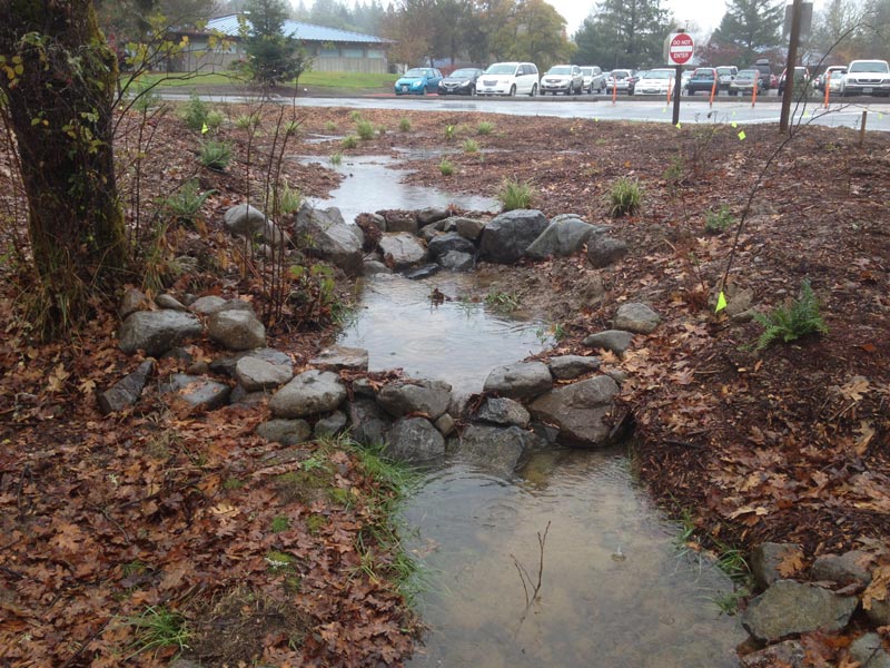 RCC Rain Garden and Bioswale Project