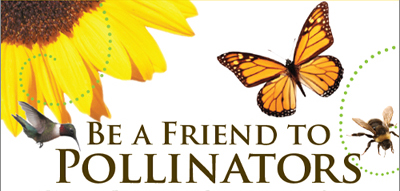 Protecting Pollinators